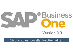 SAP Business One release 9.3 - CEREALOG